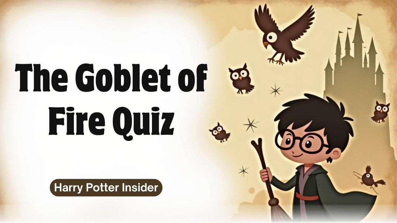 Take the Goblet of Fire Quiz Now!