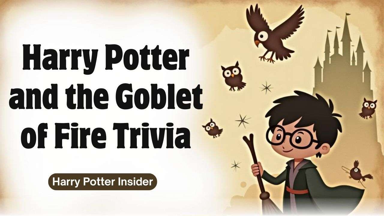 Take the Harry Potter and the Goblet of Fire Trivia Quiz