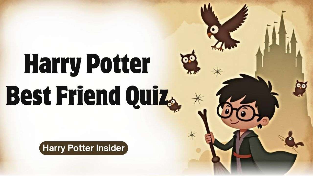 Take the Harry Potter Best Friend Quiz to Find Your Match