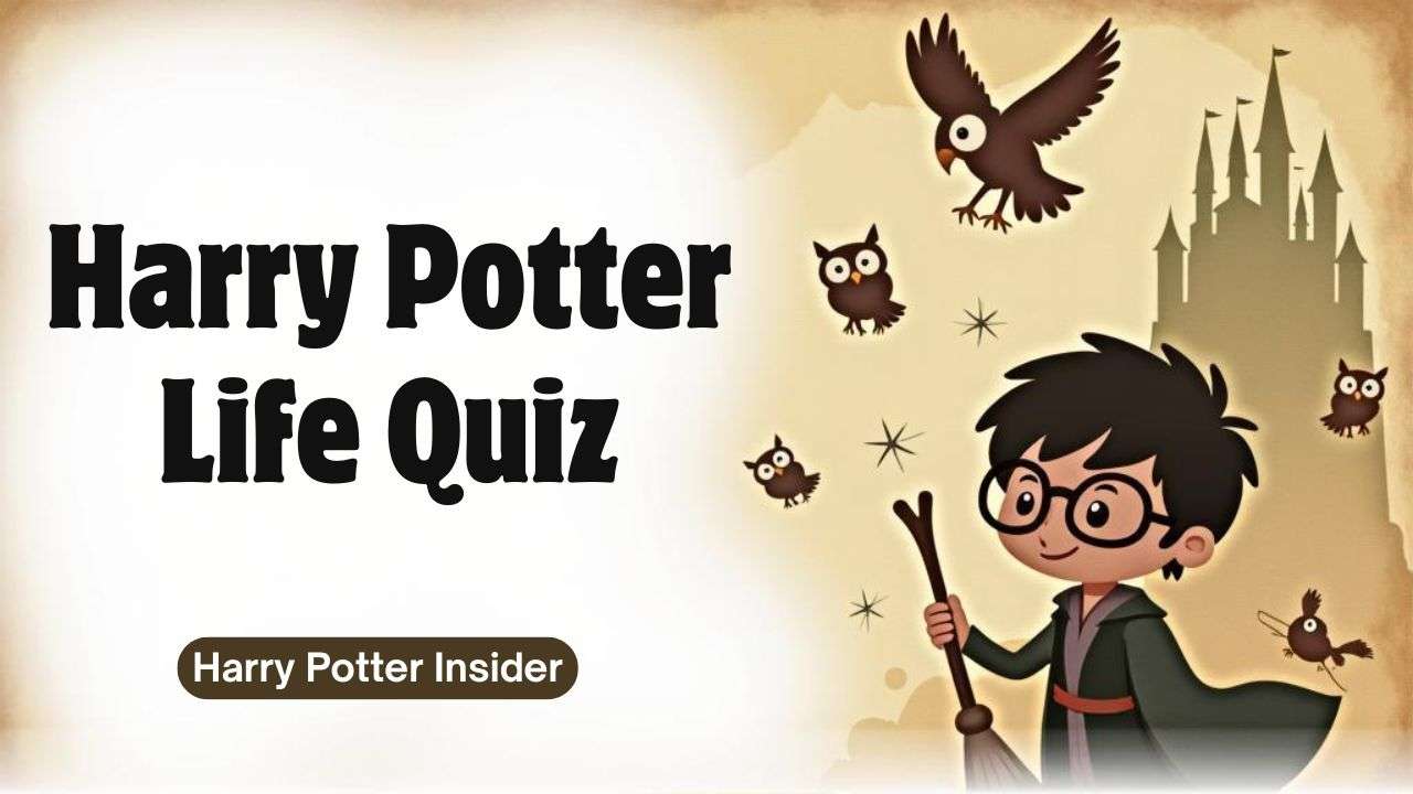 Take the Harry Potter Life Quiz to Find Your Hogwarts House