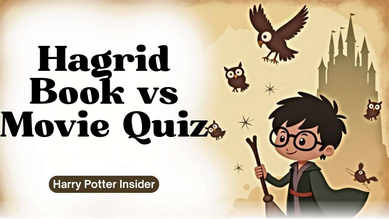 Hagrid Book vs Movie Quiz: Harry Potter Trivia