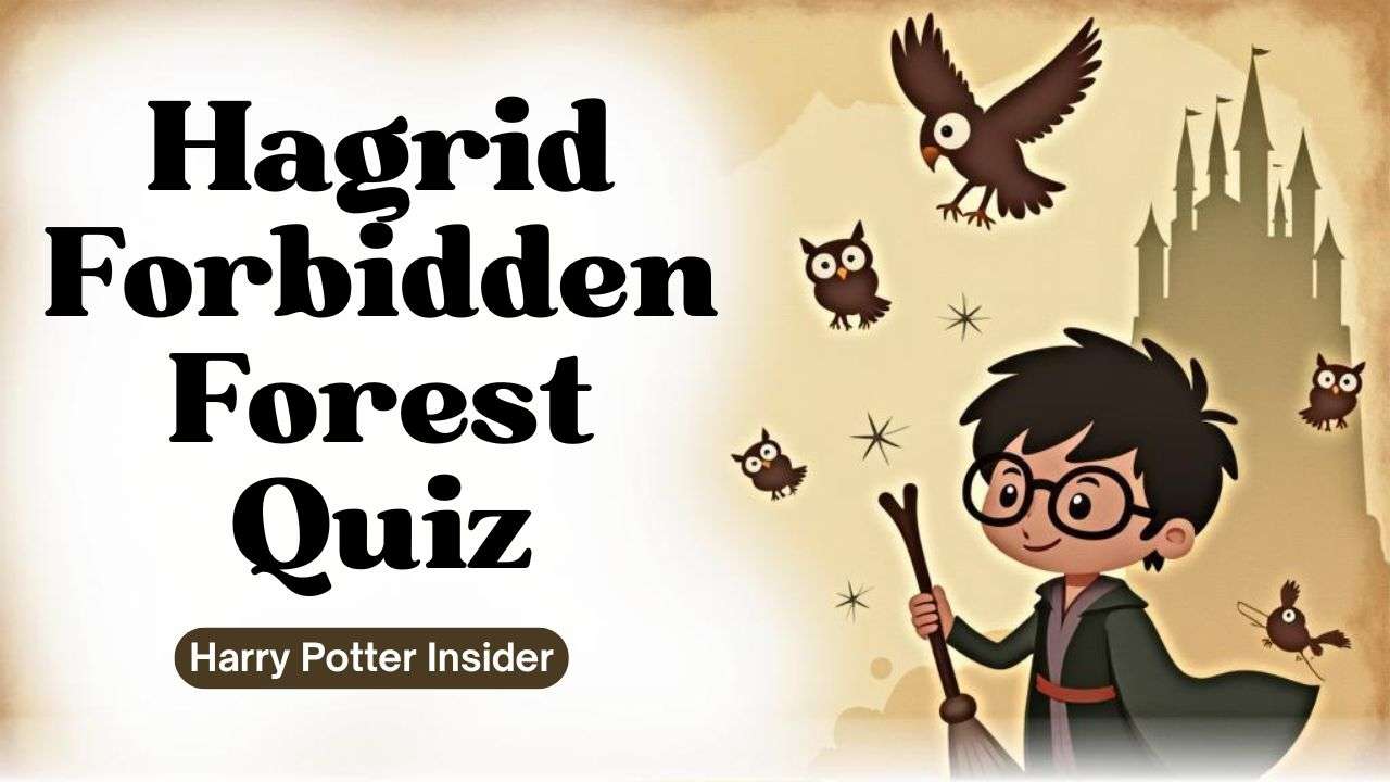 Hagrid Forbidden Forest Quiz: Test Your Magic!