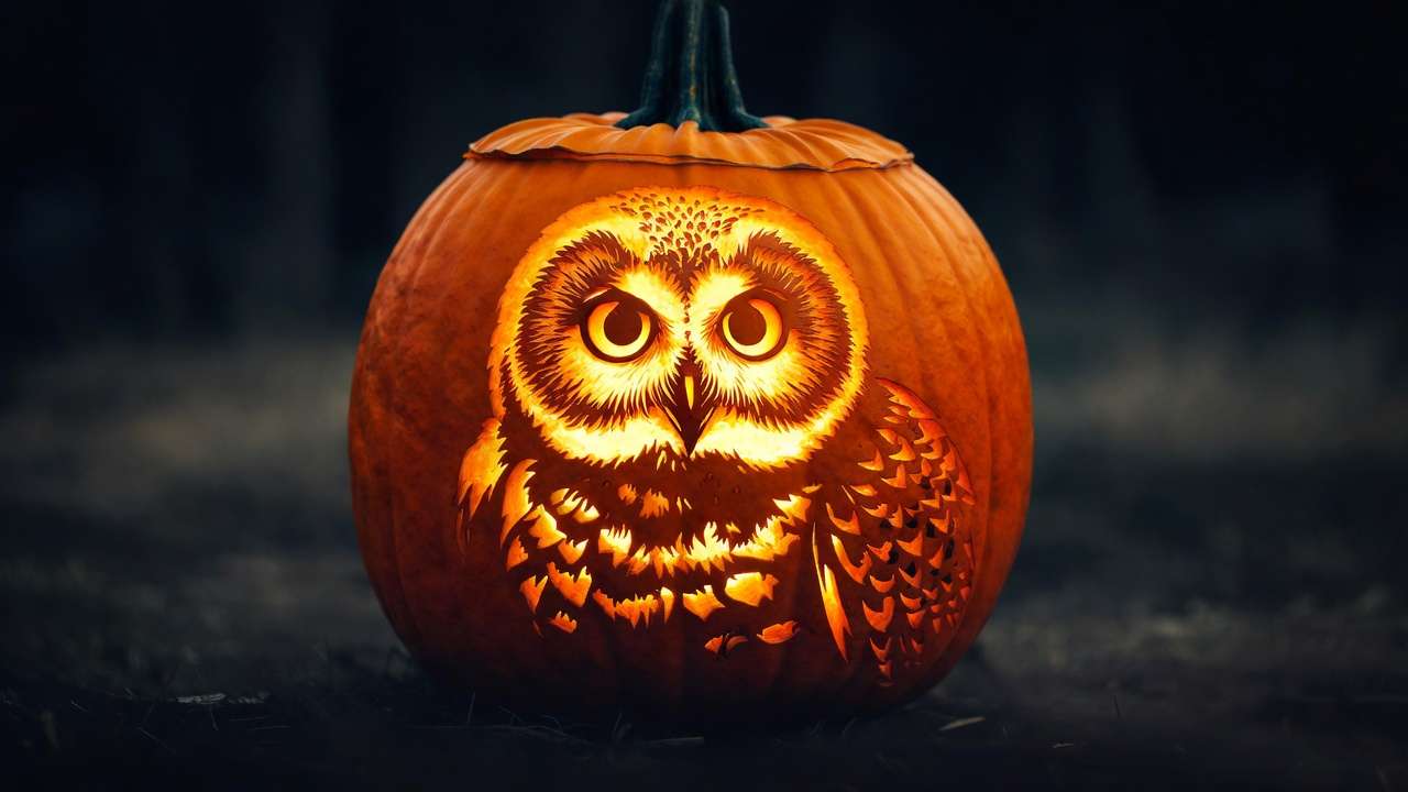 Harry Potter Jack O Lantern Ideas & Stencils 2026