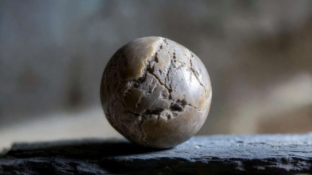 Bezoar in Harry Potter: What It Is & Why It Saves Lives