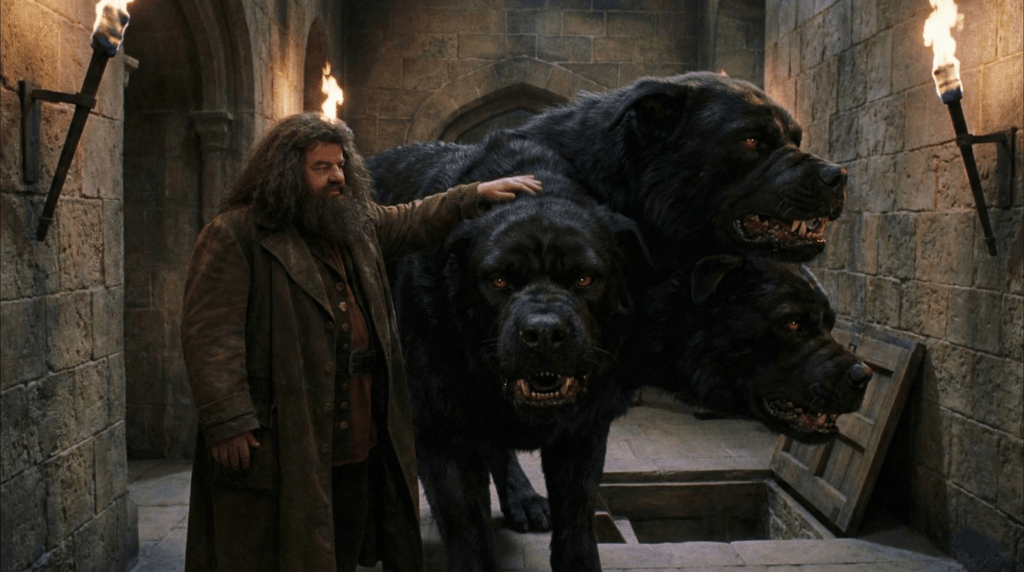 3 Headed Dog Harry Potter: Meet Fluffy & His Secrets