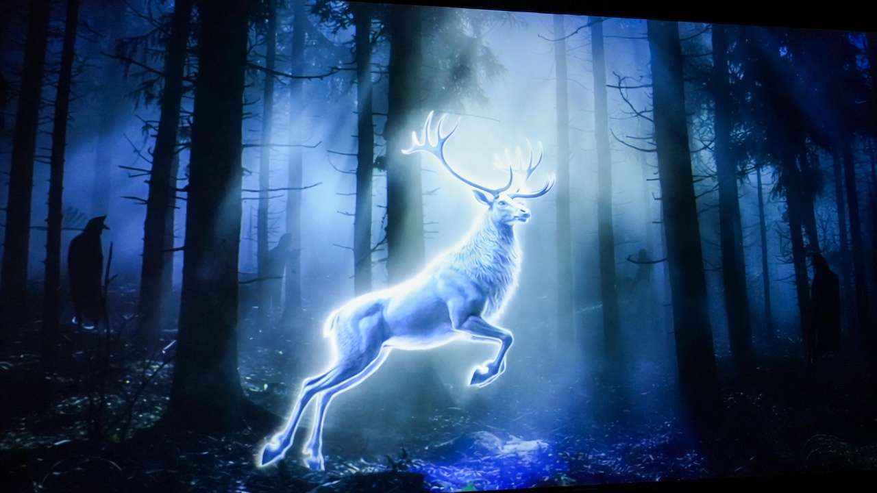 Harry Potter Exhibition SLC: Ultimate 2025 Guide