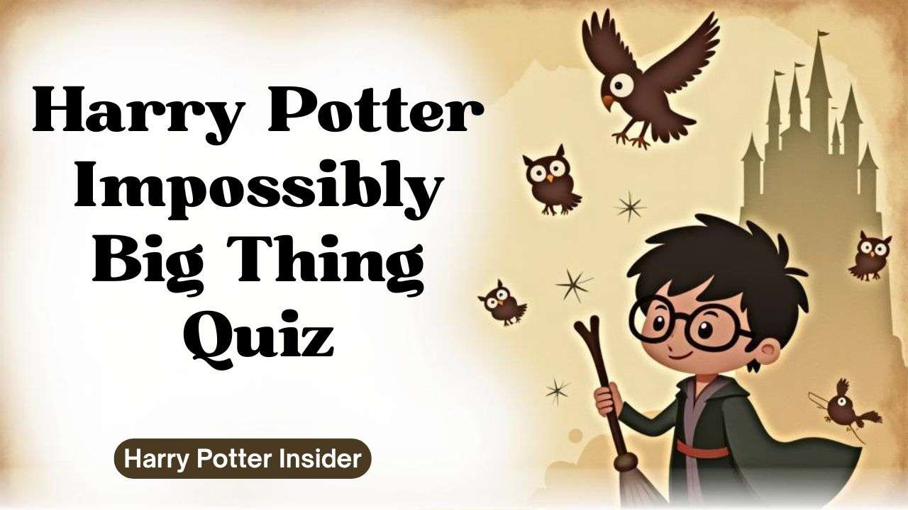 Harry Potter Impossibly Big Thing Quiz Fun Questions